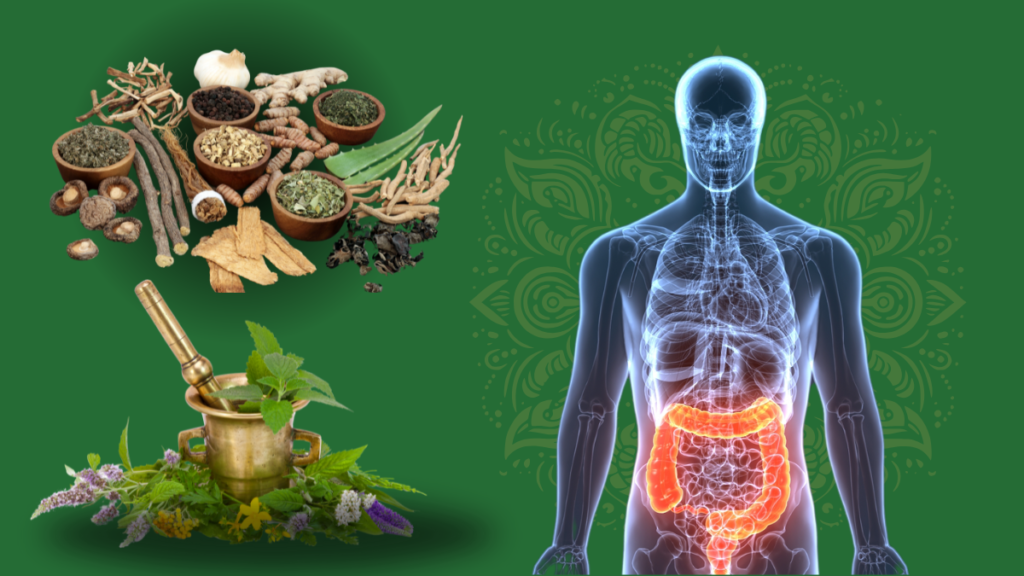 Virechana Therapy in Panchakarma | Virechana in Dwarka, Delhi